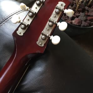 Zim-Gar Vintage Japanese 1960's Hollow body Electric Guitar | Reverb