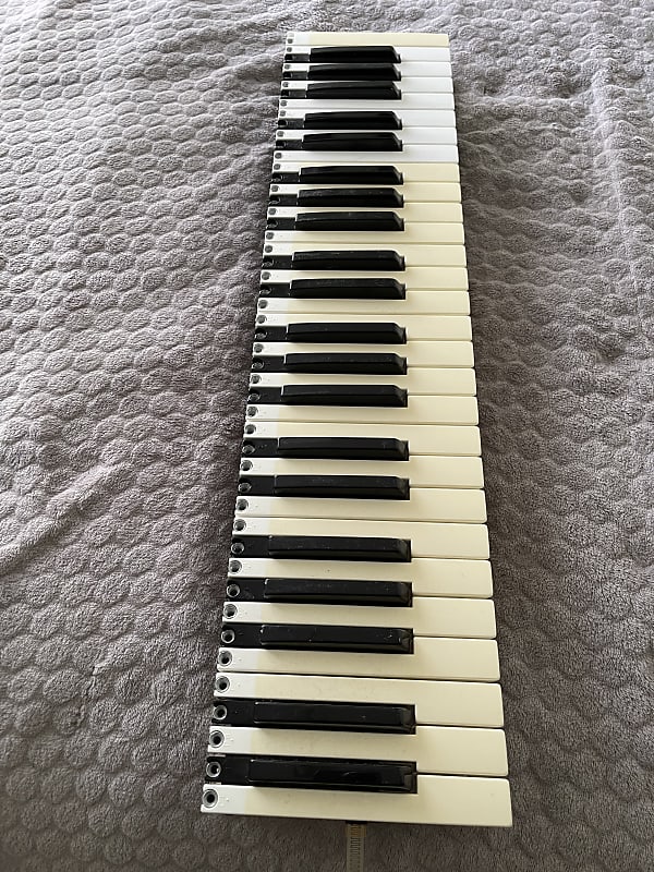 Fatar 49 Fatar TP/9S | Reverb