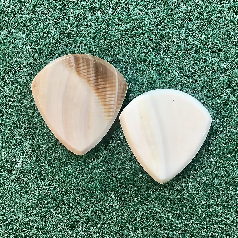 Seashell guitar pick/1.3mm, pack of two, jazz profile... by | Reverb