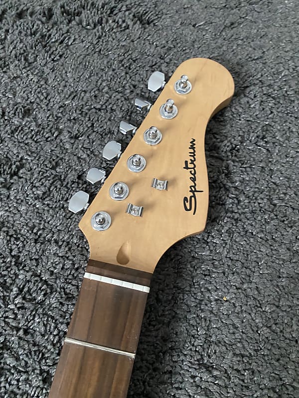 LOADED Spectrum Strat neck Rosewood 22 frets | Reverb