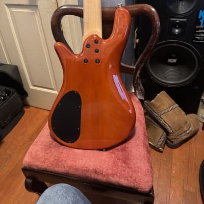 Spector 5 string bass guitar. Emg pickups - Honey | Reverb