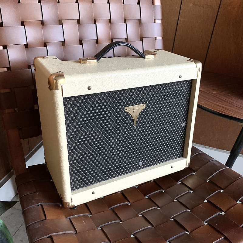 Epiphone Regent 30 Acoustic Amplifier | Reverb