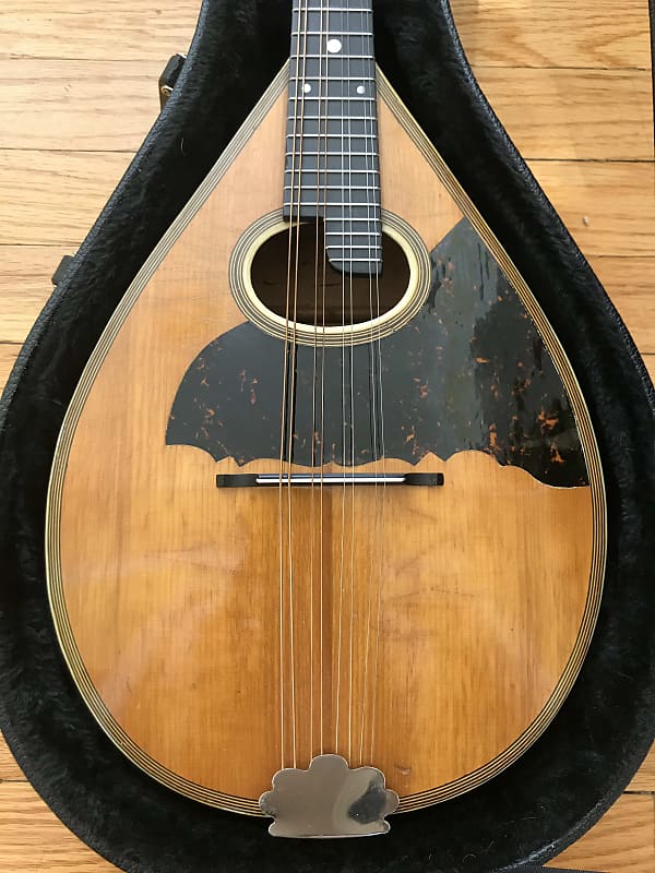 Maurer Larson Brothers Mandolin All Original Vintage 1917 | Reverb
