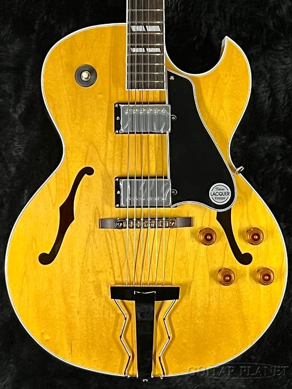 Tokai FA201 -VNT-【2024】【Made In Japan】 | Reverb