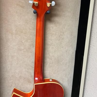 Cort J. Triggs TRG-1 Hollow Body Electric Guitar | Reverb