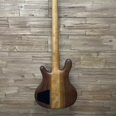 Spector SB-1 Lined Fretless 4- String Bass 1977 Made in | Reverb