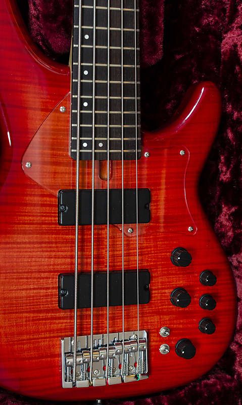 Fujigen | FGN | Expert Director | 5 string bass | EDR-5R | | Reverb