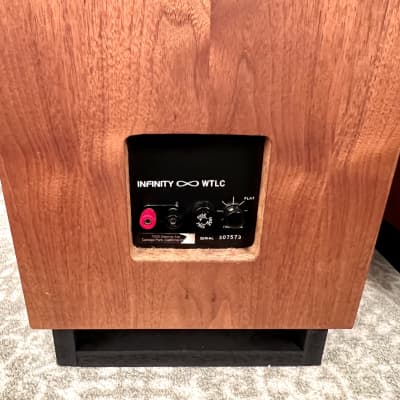 ++ RARE ++ Infinity WTLC Speakers (pair) | Reverb