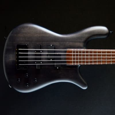 Spector Forte 5 2023 - Satin Black | Reverb