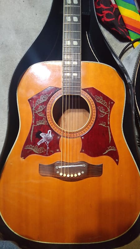 Ensenada WG66 Dreadnought Vintage 1970s Natural Finish | Reverb