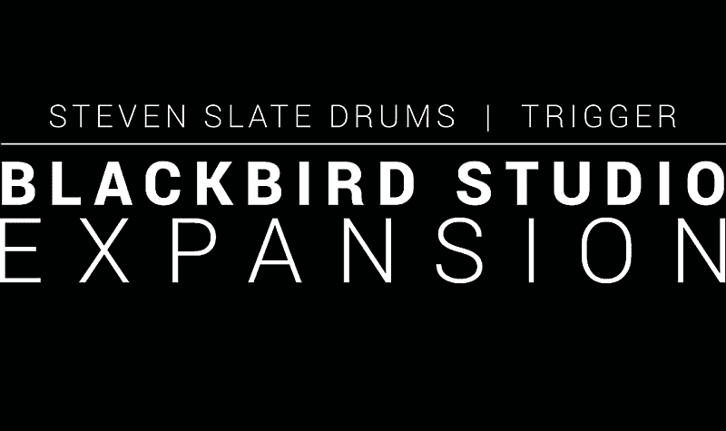 Steven Slate Drums Blackbird Expansion for Trigger Digital | Reverb
