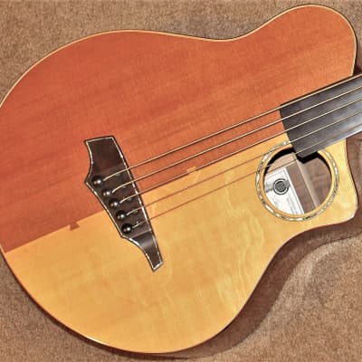 Harry Fleishman 'Dragonfly'. 1995 One of a Kind Acoustic | Reverb