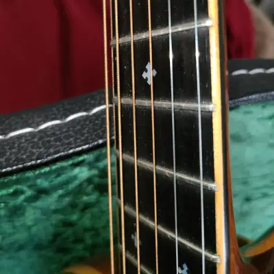 Evergreen Mountain Auditorium Blonde Jerry Nolte | Reverb