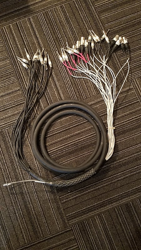 10 Channel Insert Snake Cable | Reverb