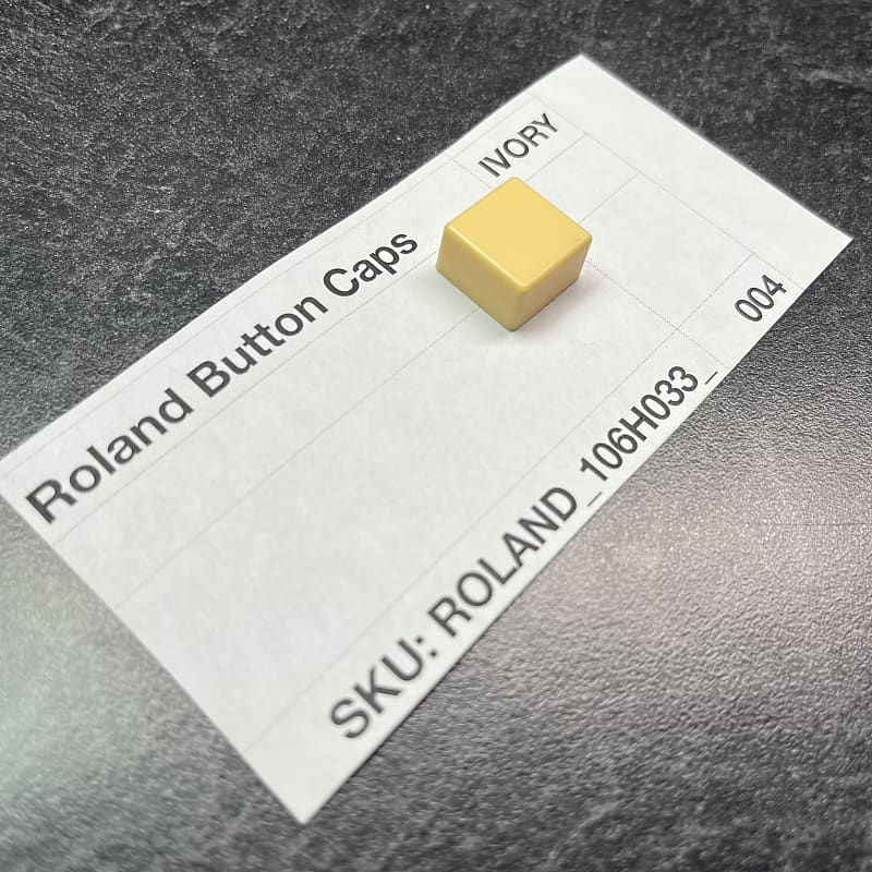 ORIGINAL Roland Ivory Button Cap (016H033) for EP/HP | Reverb UK