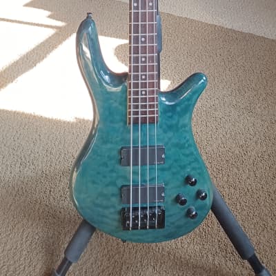 Spector NS-2000/4 | Reverb