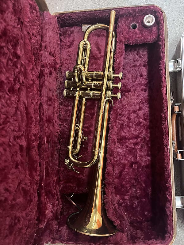 Blessing Standard 1947 - Bob Reeves Alligned! | Reverb