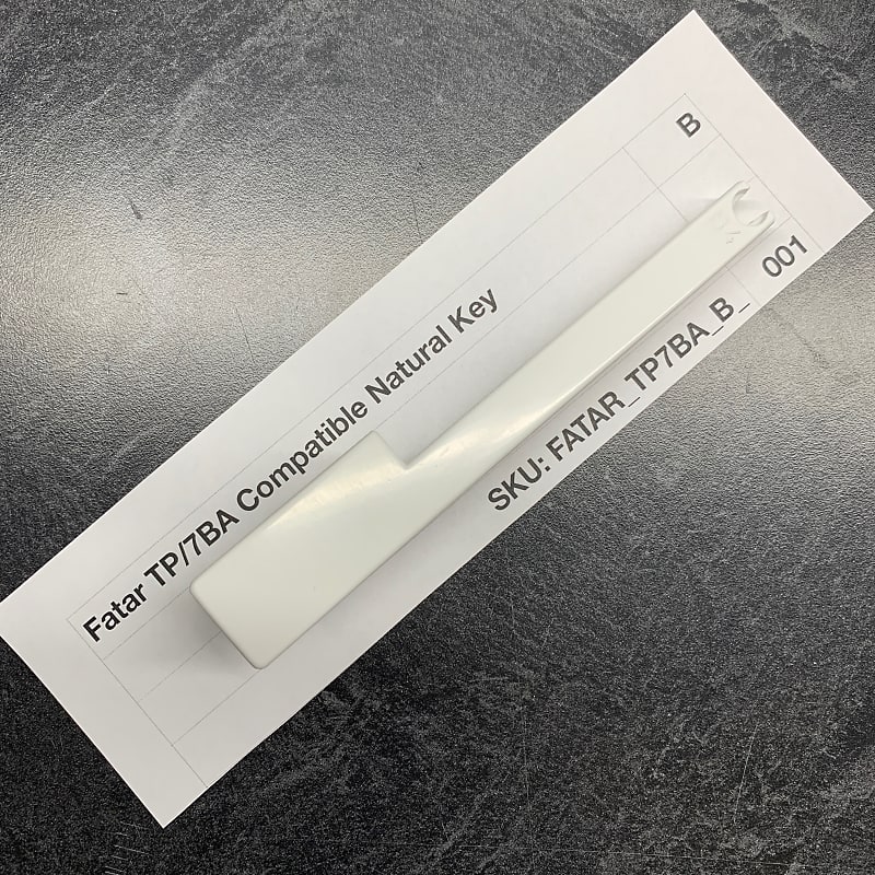 Fatar Replacement B Key (TP/7BA Keybeds) for Access, Korg, | Reverb