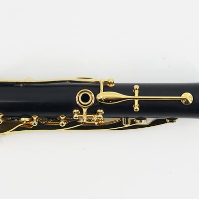 Backun BCLBFG-GK - Model F - Professional Grenadilla Bb | Reverb