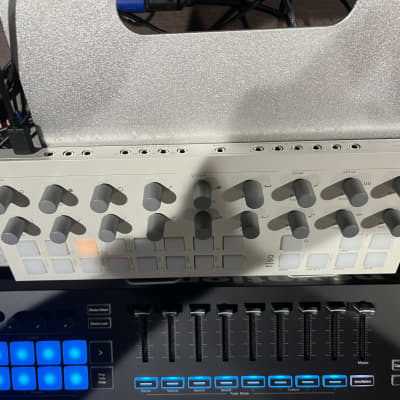 Torso Electronics T1 - White | Reverb