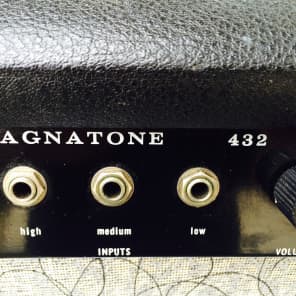 Vintage Magnatone Model 432 Estey Combo amp 1964/1966 | Reverb