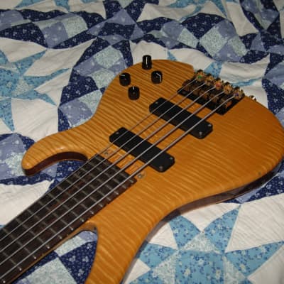 1993 Scott Ambush 5-String Bass | Reverb
