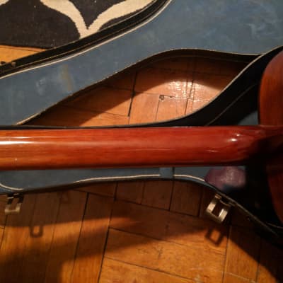 Cortez Model 860 MIJ Japan Lawsuit Acoustic Guitar 00 OM | Reverb