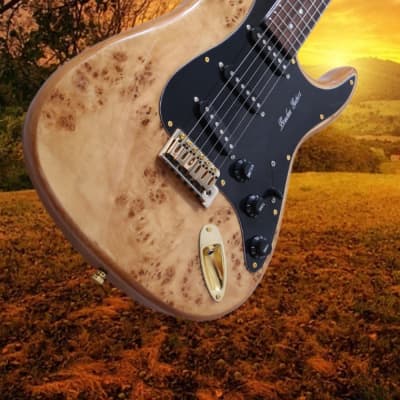 Burled Maple top on Finish Ash solid body ST style by Bracken | Reverb