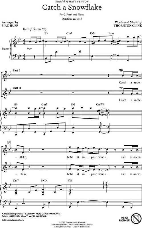 Catch a Snowflake | Reverb