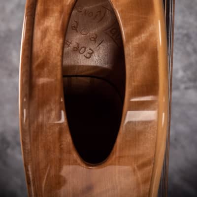 Lavoie Guitars Baryton Archtop (9 strings) | Reverb