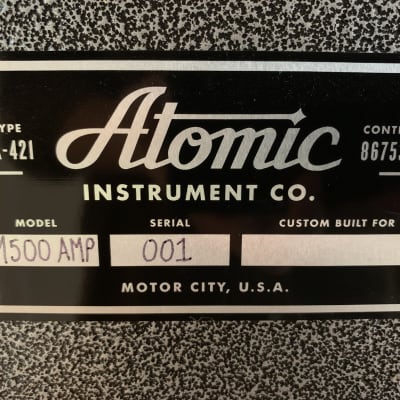 Atomic Instruments M500 Custom Pair of Hypex Mono-block | Reverb