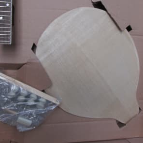 Saga AM-10 Build Your Own Mandolin Kit Build Kit | Reverb