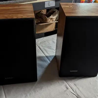 Infinity RS-10 Original Model 1982-85 Waknut | Reverb