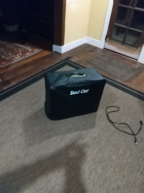 Bad Cat cub II r | Reverb