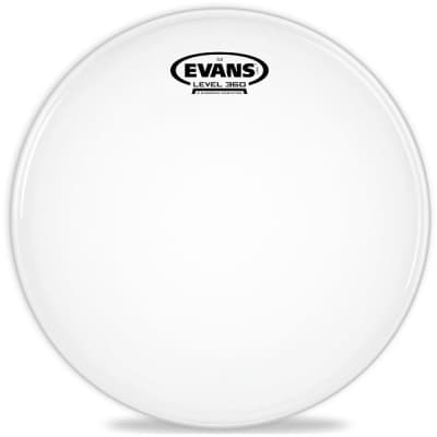 Evans G2 Coated Drumhead - 16 inch Bundle with Evans G2 | Reverb