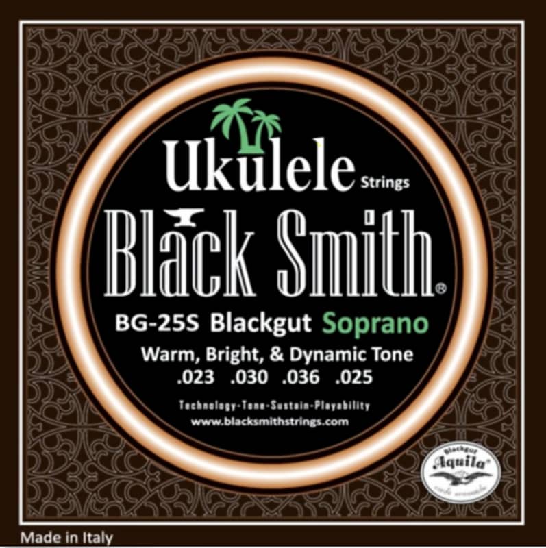 BlackSmith BG-25S | Reverb