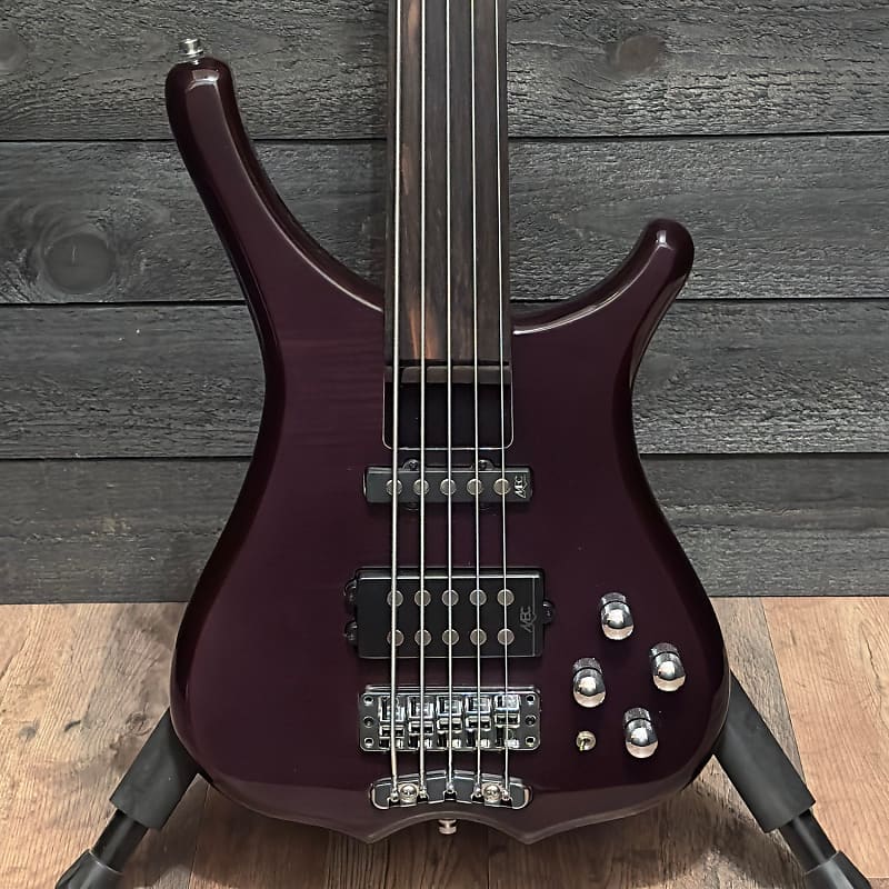 Warwick RockBass Infinity 5 String Fretless Black Electric | Reverb