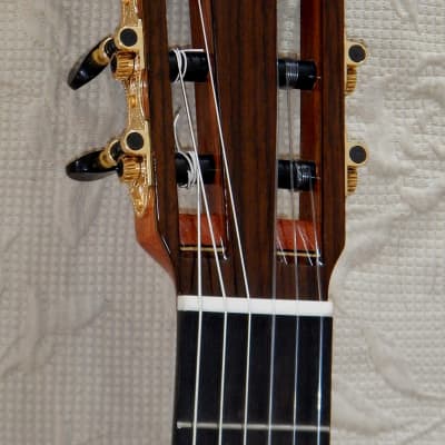 Yulong Guo Hauser model / Cedar Top | Reverb