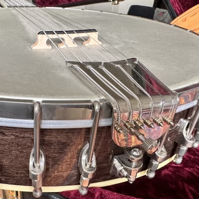 Gold Tone BT-14 Banjitar Big 14" Pot! Six string Banjo/Guitar | Reverb