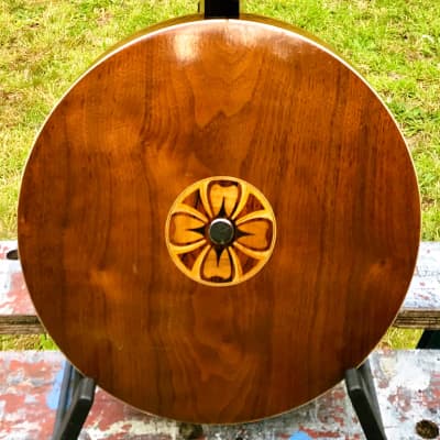 Ludwig Cort Tenor Banjo | Reverb