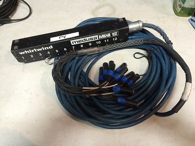 Whirlwind Mini 12 Snake Black./Blue | Reverb