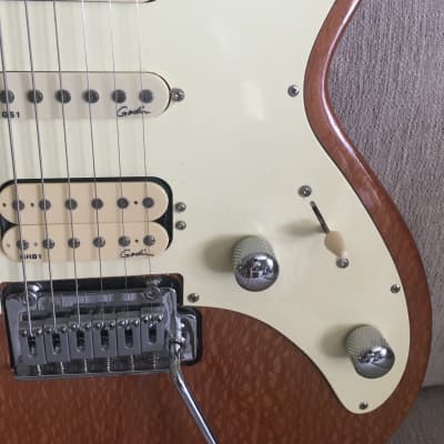 Godin SDxt 2013 Lacewood Hazel | Reverb