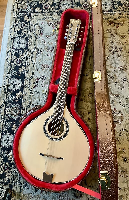 Carvalho MOC308 Octave Mandolin Spruce, pickup & case | Reverb