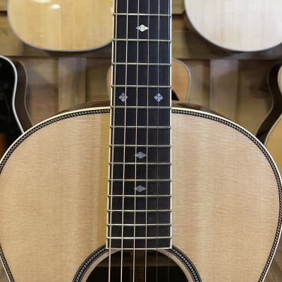 2022 Gallagher GC70 (NEW) | Reverb