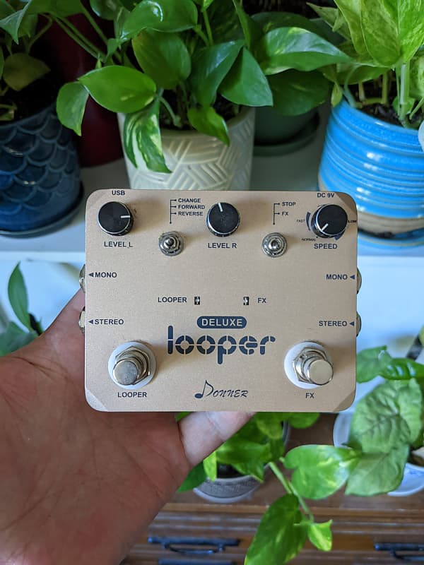 Donner Looper Gold | Reverb