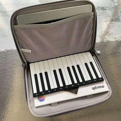 Sensel Morph MIDI Controller Buchla Thunder Music Production | Reverb