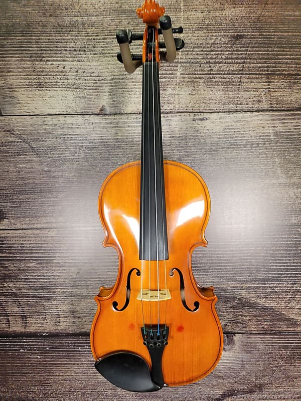strunal 220 Violin (Edison, NJ) | Reverb