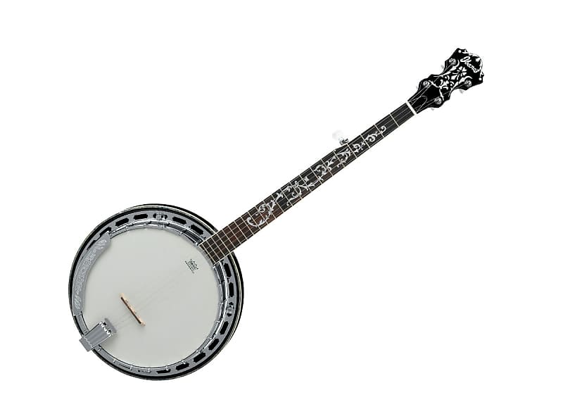 Ibanez Banjo Hollow Body Acoustic Guitar - Purpleheart - B300 | Reverb