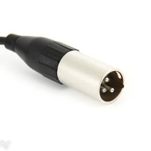 Pro Co SMA1204FBQ-25 SMA Series 12x4 Stage Snake with 1/4 | Reverb