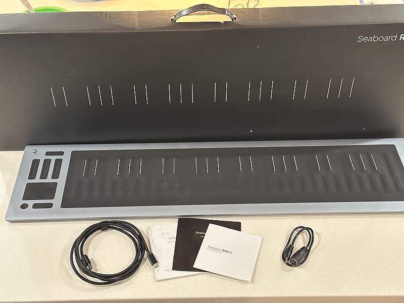 ROLI Seaboard Rise 2 2023 Platinum Blue | Reverb